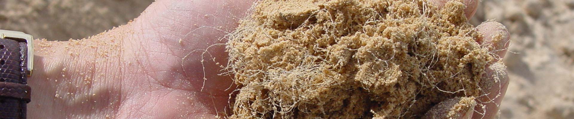 fibresand-bg - Fibresand International